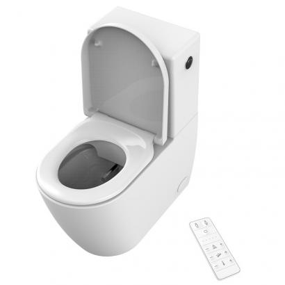 Wholesale Compact Smart Toilet With Bidet Seat Features A Warm Water ...